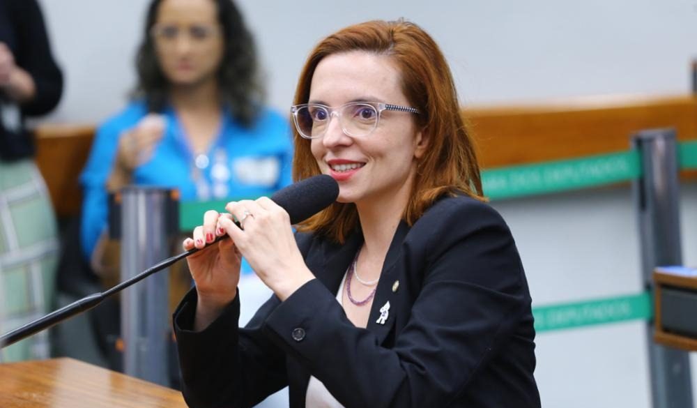 Ana Pimentel pede revogação de nota técnica homofóbica proposta pelo ...