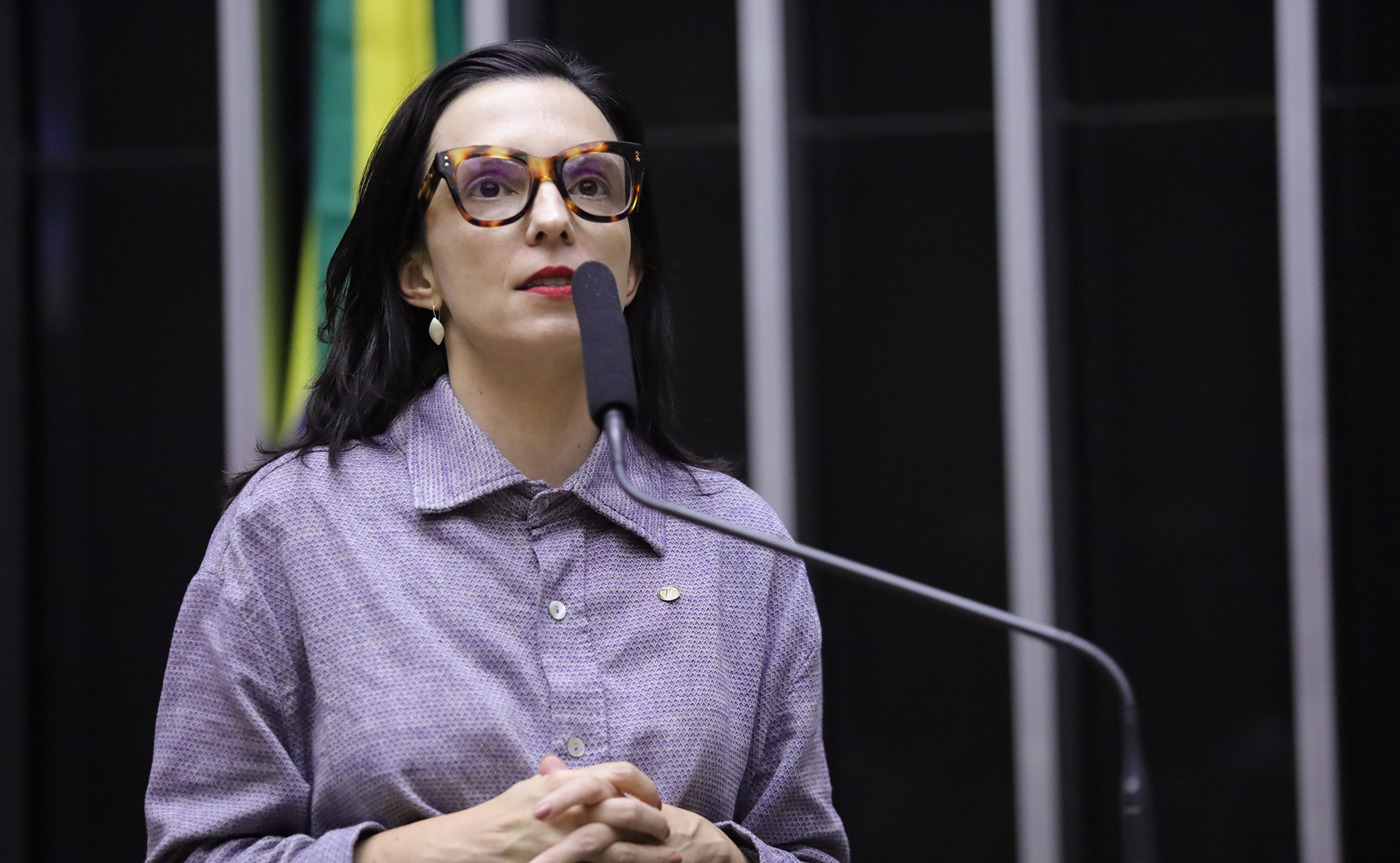 Projeto da deputada Ana Pimentel inclui cidadania, ética e democracia ...